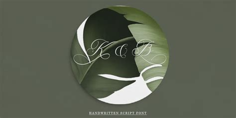 Canberra Script Font Webfont And Desktop Myfonts