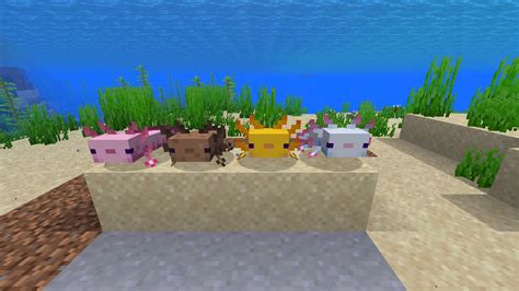 Minecrafts New Snapshot Features Some Very Good Axolotls