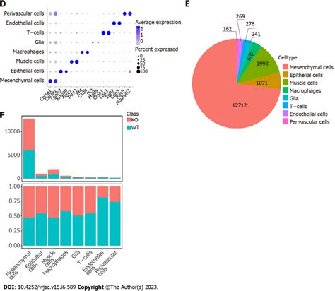 Single Cell Rna Sequencing Analysis Of Maxillary Processes From
