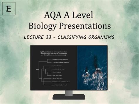 Aqa A Level Biology Lecture 33 Classifying Organisms Teaching Resources