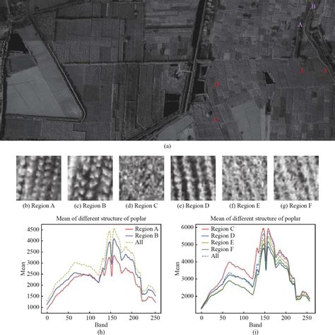 Hyperspectral Image Classification Based On Capsule Network Ma 2022