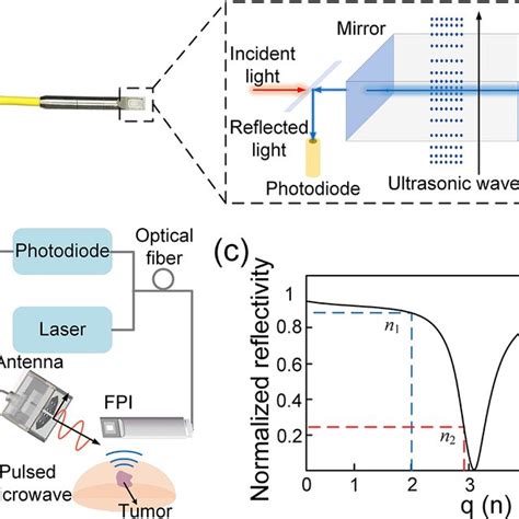 a the photograph of the fpi and the detection principle of the