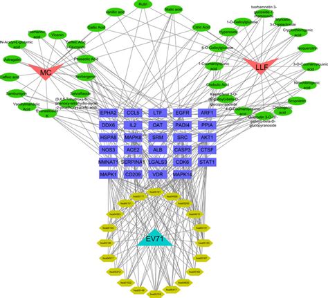 Component Target Pathway Disease Network The Download Scientific