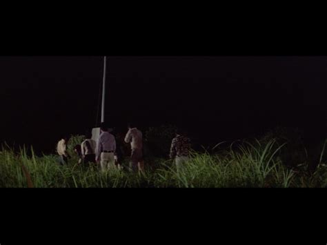 Stray Cat Rock Sex Hunter 1970