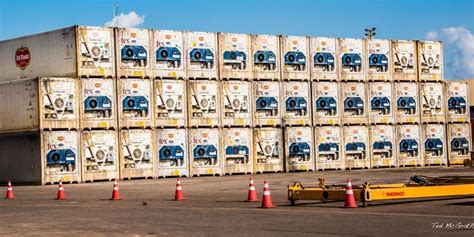 What Is A Reefer Container Reads