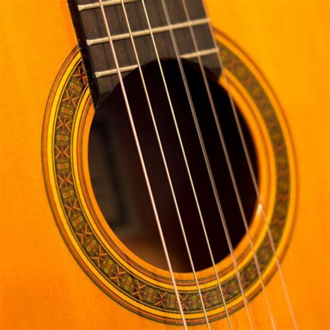 Stringed Instruments Overview Definition History Musiknerd