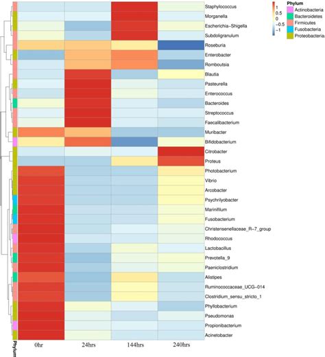 Succession Of Oral Microbiota Community As A Tool To Estimate