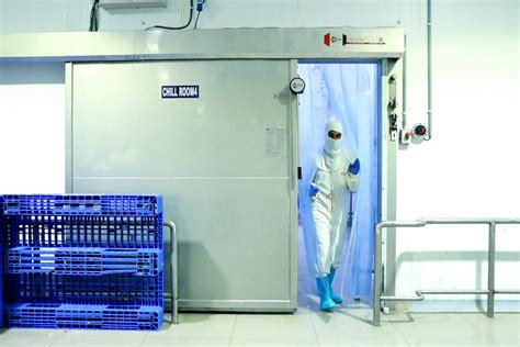 Metaflex Mak Freezer 5 Metaflex Doors