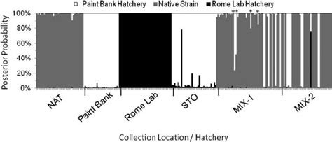 Visual Illustration Of Cluster Assignments From Structure Each