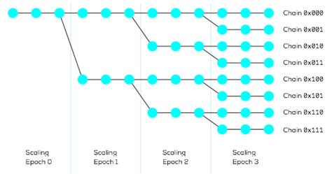 Metabase Protocol — A Deep Dive Analysis By Ludolf Von Schöning Medium