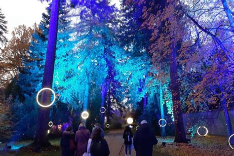 Domaine Dharcourt Une Promenade Illuminée Au Milieu Des Arbres Pour