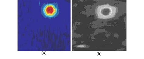 Landmine Image Scanned By The LDV Based A S Landmine Detection System Download Scientific