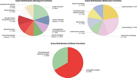 Graphs Obtained By The Blast2go Bioinformatics Program Showing The