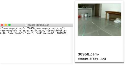 a sample training dataset from the track training download