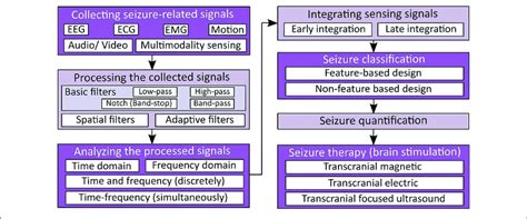Seizure Detection And Therapy Overview Download Scientific Diagram