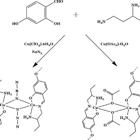 bridged dinuclear copper ii sb complex using template method