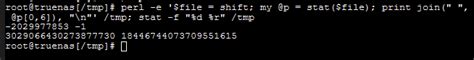 FAILED TEST Exist In Make Test On FreeBSD13 Test Lstat And Stat