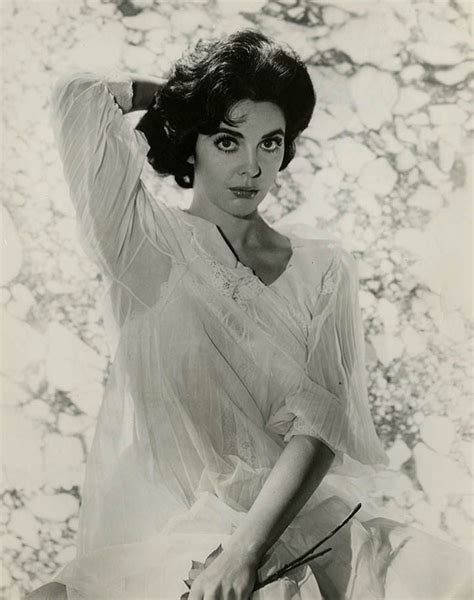 Myrna Fahey 1933 1973 And95blog On Tumblr