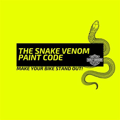 Discover The Snake Venom Paint Code For Your Bike And Make It Stand Out