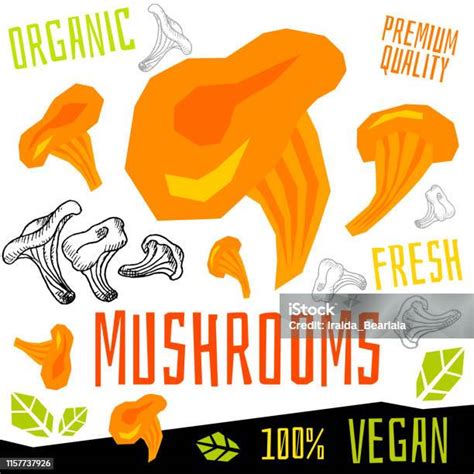 버섯 아이콘 라벨 신선한 유기농 야채 야채 견과류 허브 향신료 조미료 색상 그래픽 디자인 채식 주의 자 식품 개념에 대한 스톡 벡터 아트 및 기타 이미지 Istock