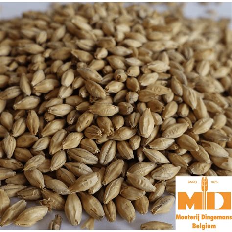 Pils Malt 25 Ebc Malt Dorge 25kg Produits Pour Brasser De La