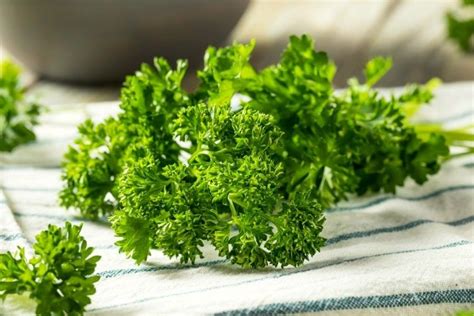 9 Cleansing Ideas Liver Cleanse Juicing Recipes Diy Shower Cleaner