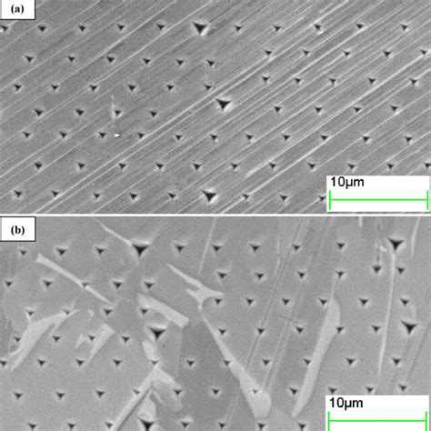 A Scanning Electron Micrographs Bse Mode Showing Microstructure And