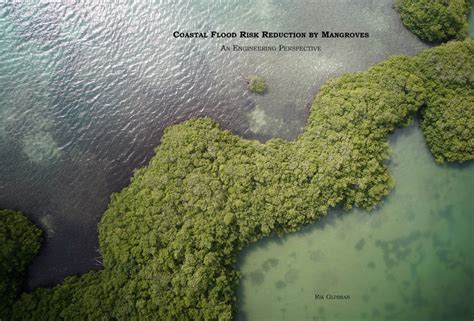 Phd Defence Rik Gijsman Coastal Flood Risk Reduction By Mangroves An Engineering Perspective