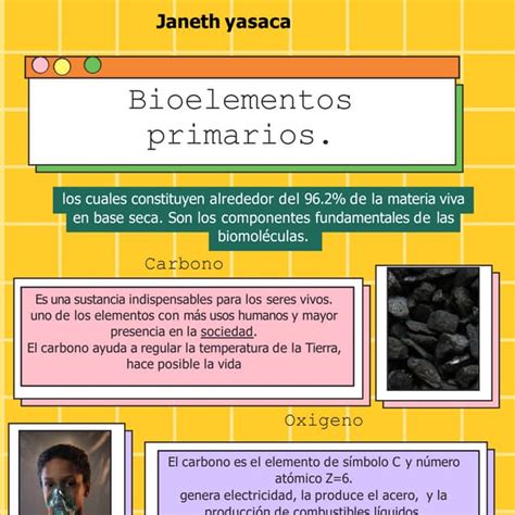 Bioelementos Quimicos Primarios Pptx