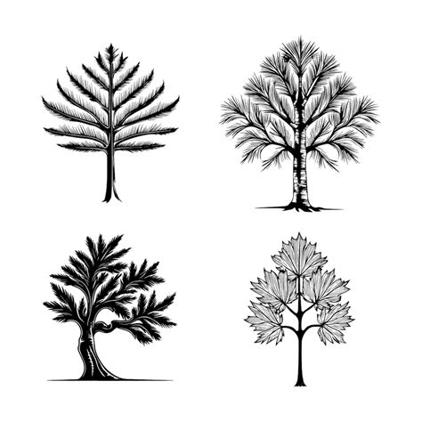 Premium Vector Tree Vector Design Highquality Scalable Graphics For Naturethemed Projects