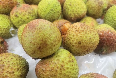 荔枝图片素材 荔枝设计素材 荔枝摄影作品 荔枝源文件下载 荔枝图片素材下载 荔枝背景素材 荔枝模板下载 搜索中心