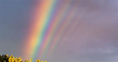 Photographer Captures Rare Quintuple Rainbow Over Jersey Shore