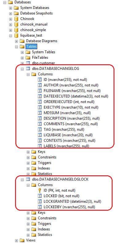 SQL Server Database Change Management With Liquibase Change Management Sql Server Sql