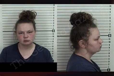 Britney Hunter Camden County Jail Bookings