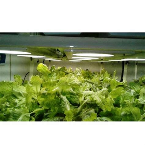 Automatic Plastic Hydroponic System At ₹ 1500 Piece Hydroponic Systems In Aurangabad Id