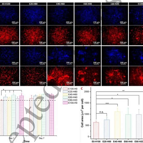 A Fluorescence Stainings Of The Cell Nuclei Dapi Blue And