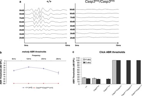 Abr Data From Melody Mutant Mice A Representative Traces From