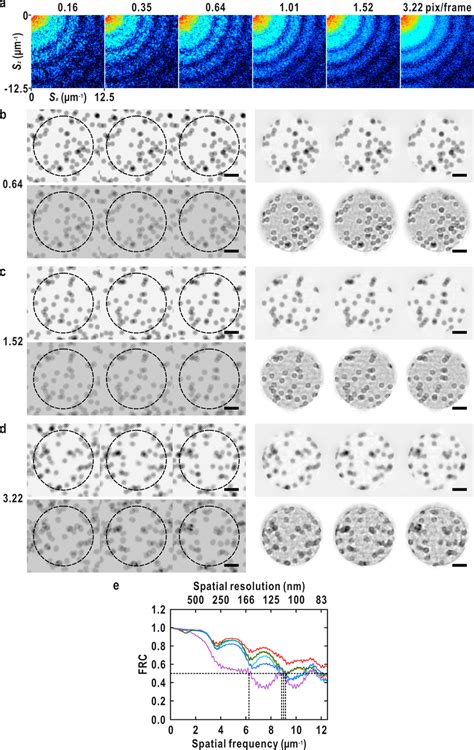 Effect Of The Amount Of Structural Variation On Multiple Shot Coherent Download Scientific