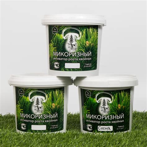 Микориза купить в Москве активатор роста хвойных | Микориза