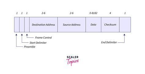 Token Bus Ieee 8024 Scaler Blog