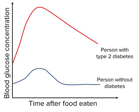 Insulin Glucose Diagram