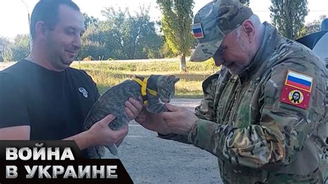 💀 Выплаты за смерть на фронте — котами Чем в РФ заменяют гробовые деньги Youtube