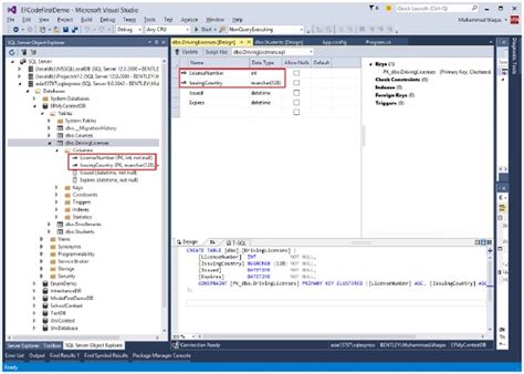 Entity Framework Data Annotations