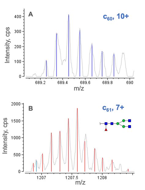 A Streamlined Single Injection Middle Down Workflow Using Electron