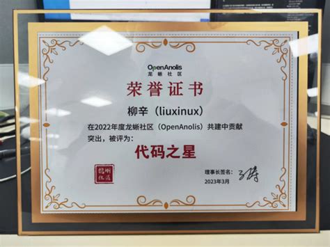 龙蜥开发者说：给芯片以系统、给系统以社区 第 17 期 开源 openanolis小助手 infoq写作社区