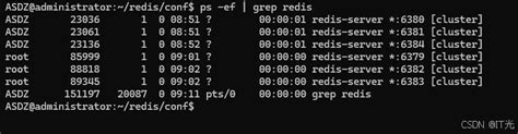 Redis集群搭建（linux）redis6214 配置文件 Csdn博客