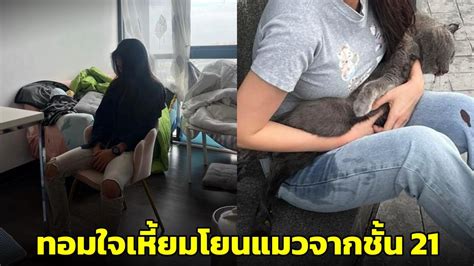 Photo Gallery สุดสะเทือนใจ ทอมใจเหี้ยมโยนแมวจากชั้น 21 สิ้นใจตายอนาถ ประชดแฟนสาว