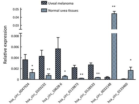 Expression Of Dysregulated Circular Rnas Circrnas Validated By Download Scientific Diagram