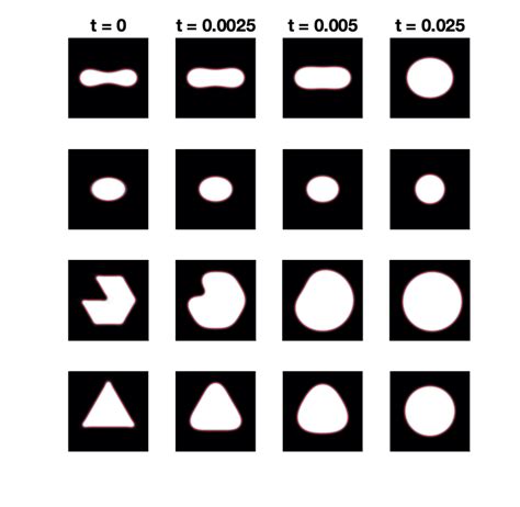 Shape Evolution Of Other Growth Examples With Different Initial
