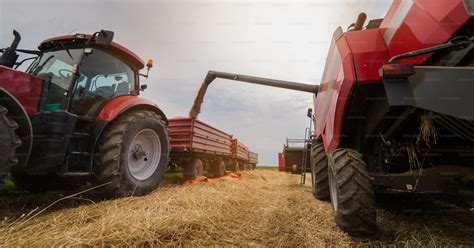 밭에서 수확 후 트랙터 트레일러에 밀 곡물 붓기 사진 Unsplash의 트랙터 이미지